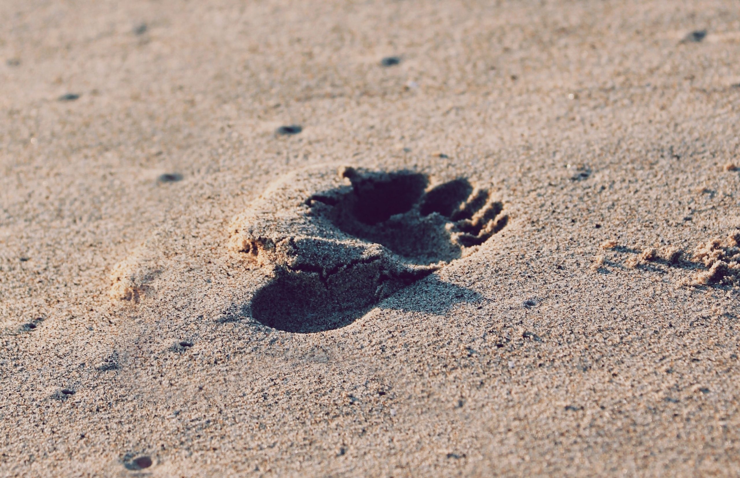 Ingrown Toenails - Mudgeeraba Podiatry